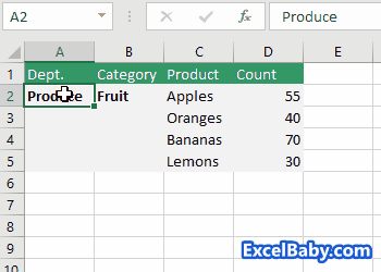 Entering Data With Auto Fill And Flash Fill - Excelbaby